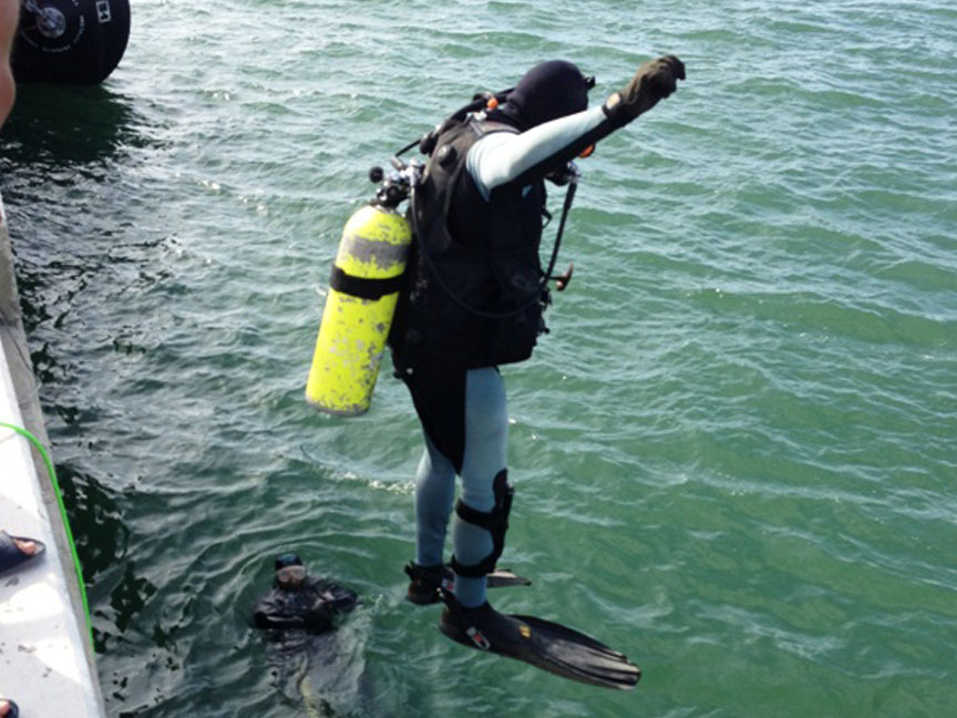 Portfolio - MARLIN Operations